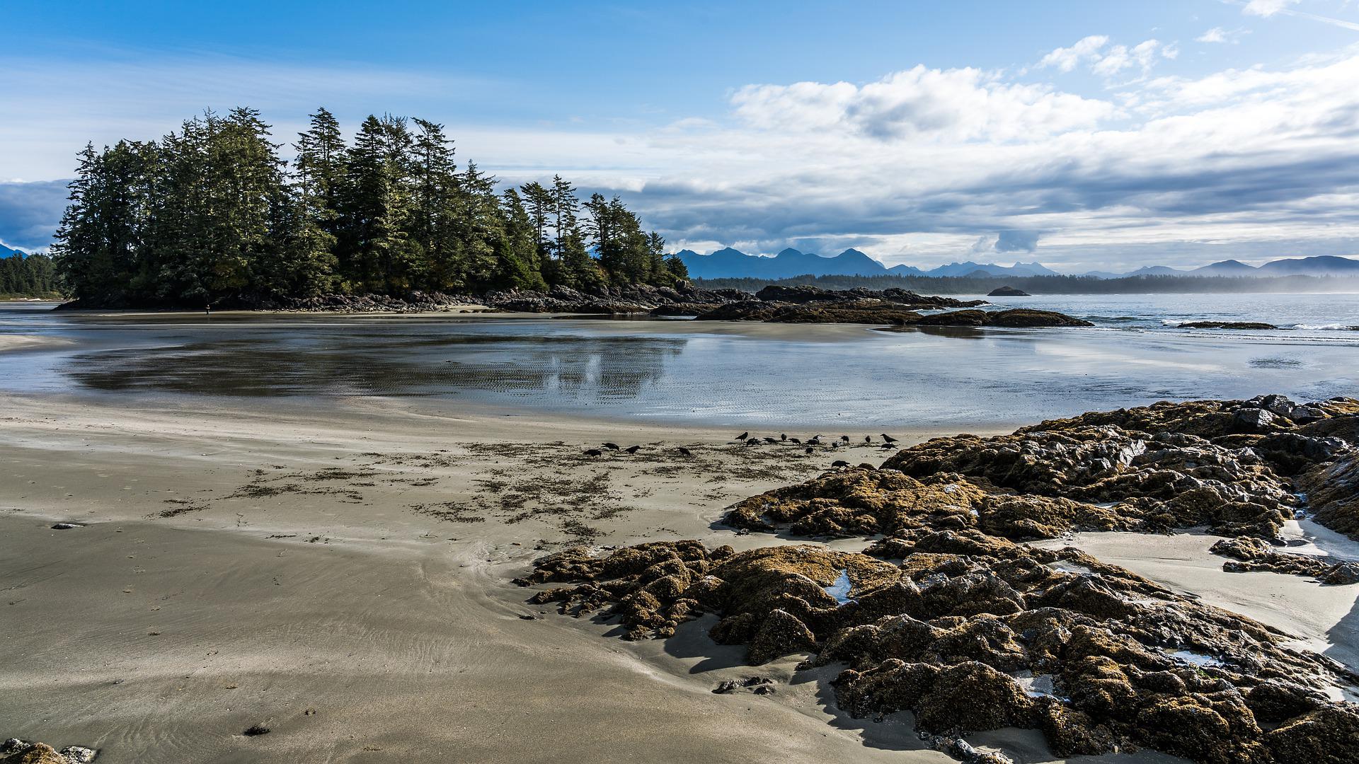 Crystal Fuller Homes | Comox Valley Real Estate